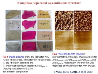 Design and synthesis of polysaccharides/(co)polymers based amphiphilic ...