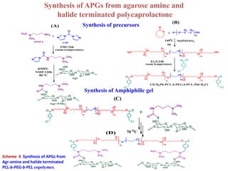 Design and synthesis of polysaccharides/(co)polymers based amphiphilic ...