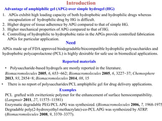 Design and synthesis of polysaccharides/(co)polymers based amphiphilic ...