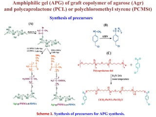 Design and synthesis of polysaccharides/(co)polymers based amphiphilic ...