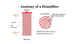 basics of the technique and its practiceCRRT and technical aspects.pptx
