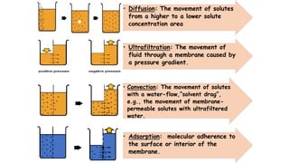 basics of the technique and its practiceCRRT and technical aspects.pptx