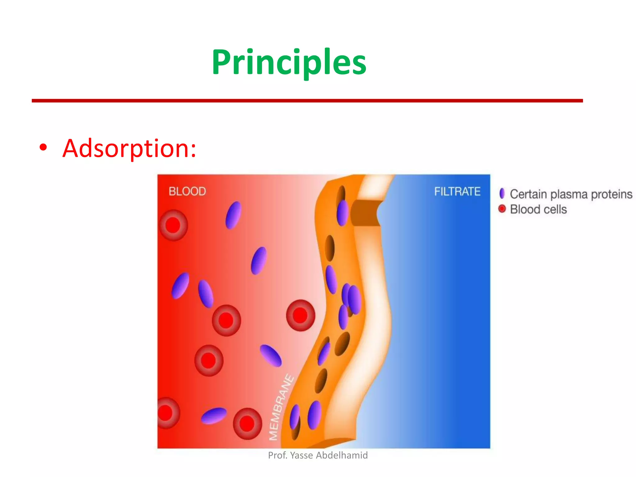 Crrt indications and modalities [autosaved] | PDF