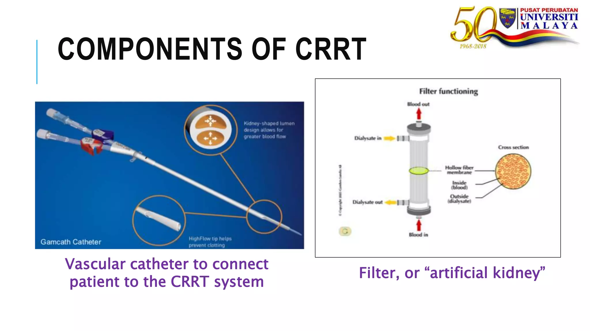 Continuous Renal Replacement Therapy | PPTX