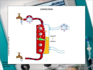 CRRT basic principal by Wael Nasri | PPTX