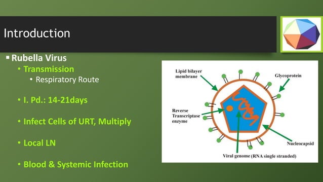Congenital Rubella Syndrome | PPT