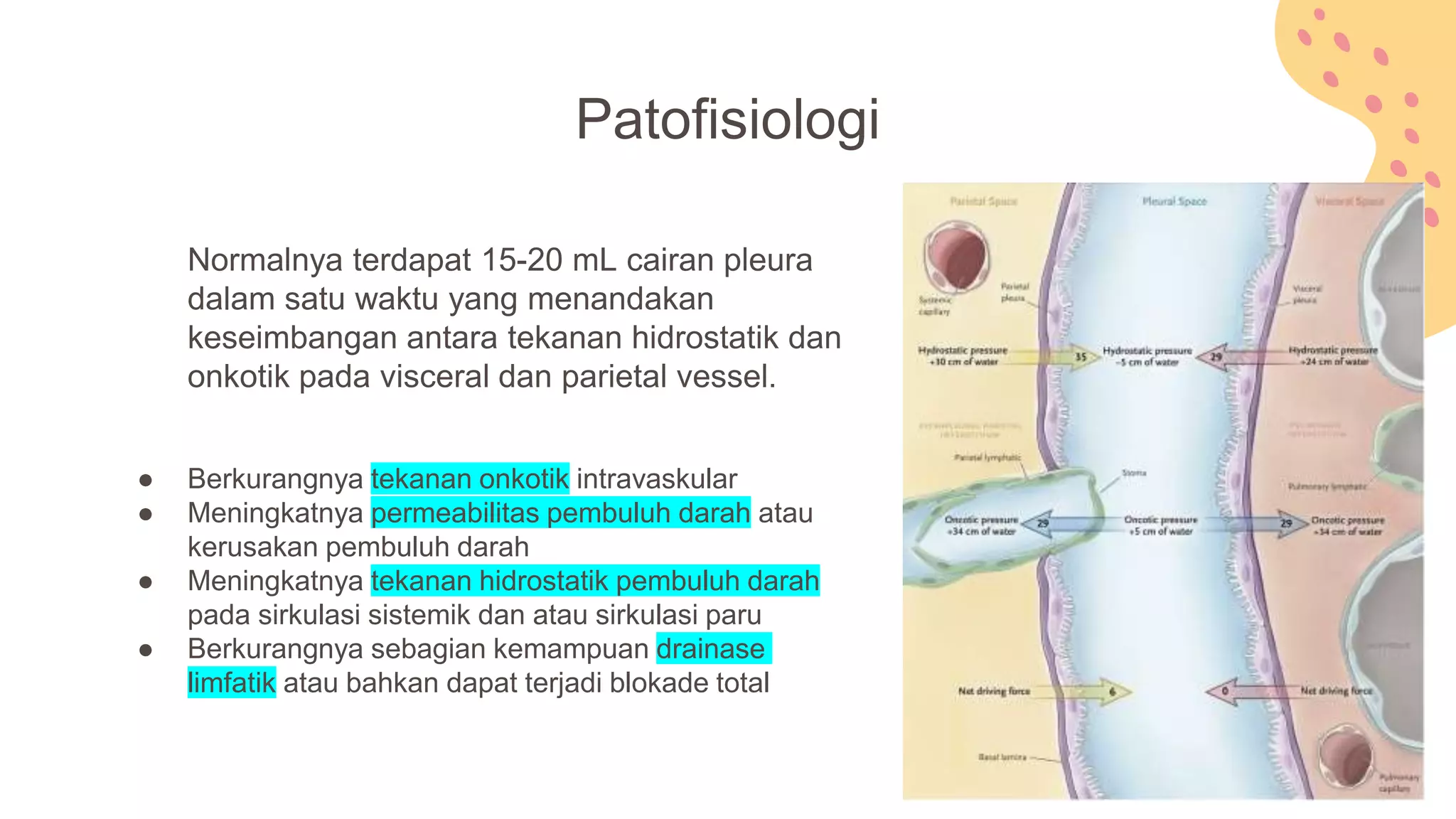 CRS-Efusi Pelura (3).pptx