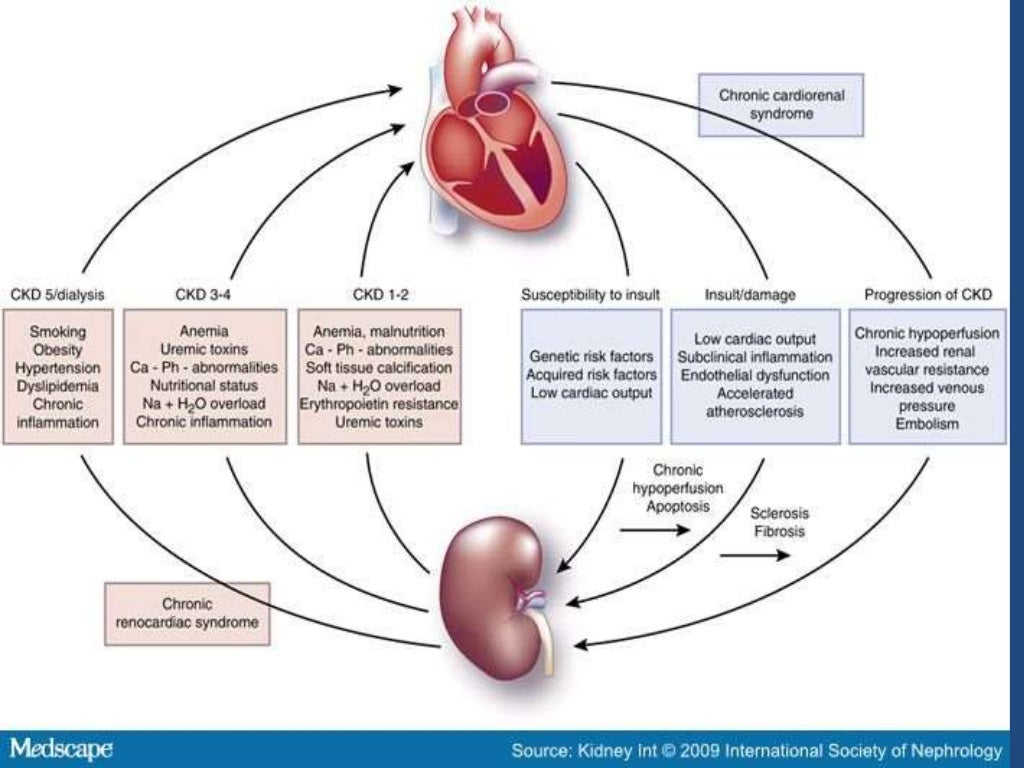 CARDIORENAL SYNDROME