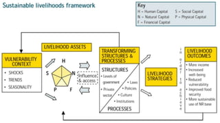 Digital Community Media: Community Media Networks: Envisioning the ...