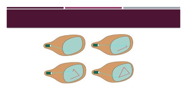 To know about CRT Monitors in computer graphics.pptx