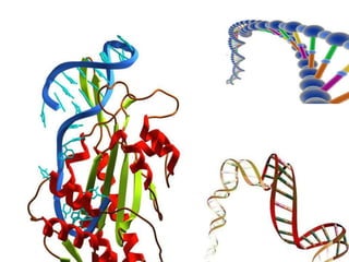 Cruces geneticos | PPTX