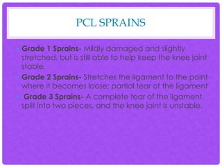 Anterior/Posterior Cruciate ligaments by Shannon Davis | PPTX