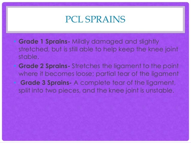 Anterior/Posterior Cruciate ligaments by Shannon Davis