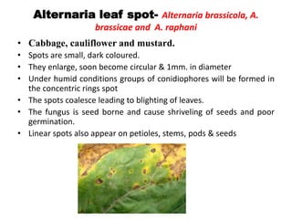 Diseases of Cruciferous | PPTX