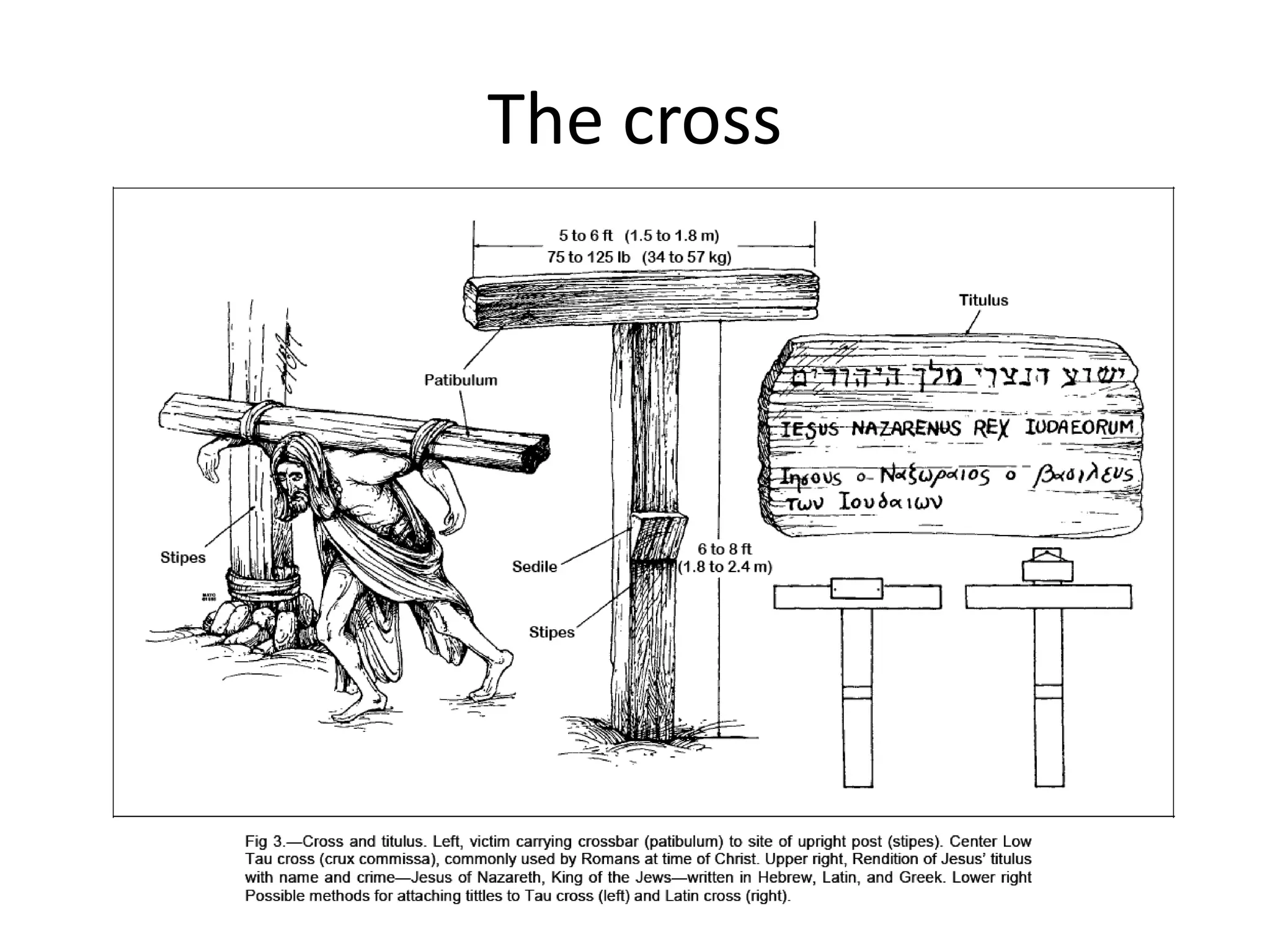 Crucifixion of Jesus | PPTX