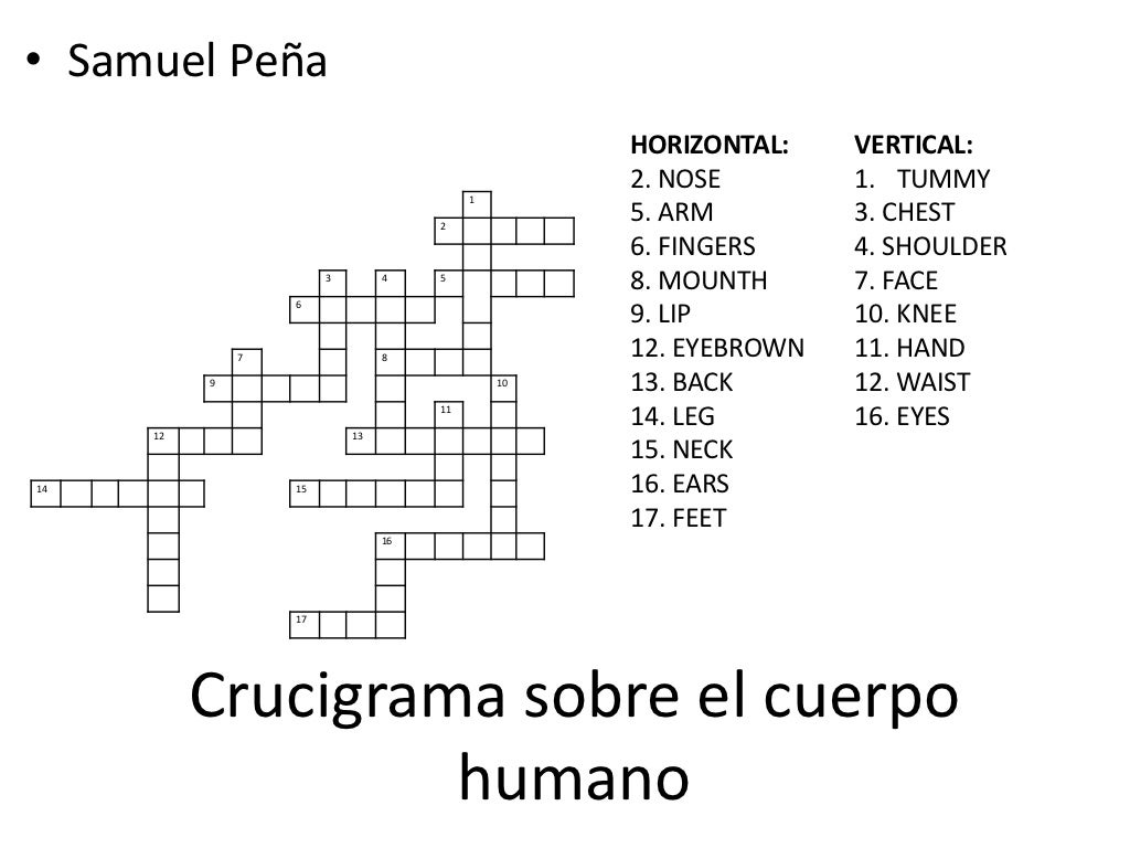 Crucigrama sobre el cuerpo humano
