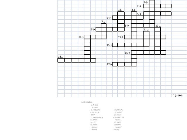 Crucigrama Sistemas Del Cuerpo Humano Resuelto - kulturaupice