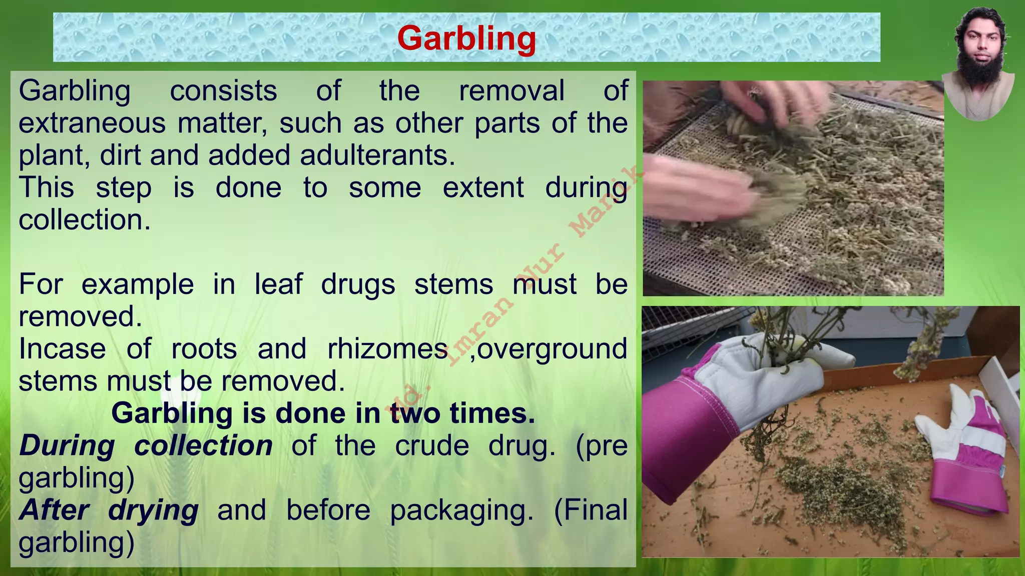 Crude Drugs (Pharmacognosy) MANIK | PDF