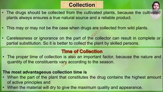 Crude Drugs (Pharmacognosy) MANIK | PDF