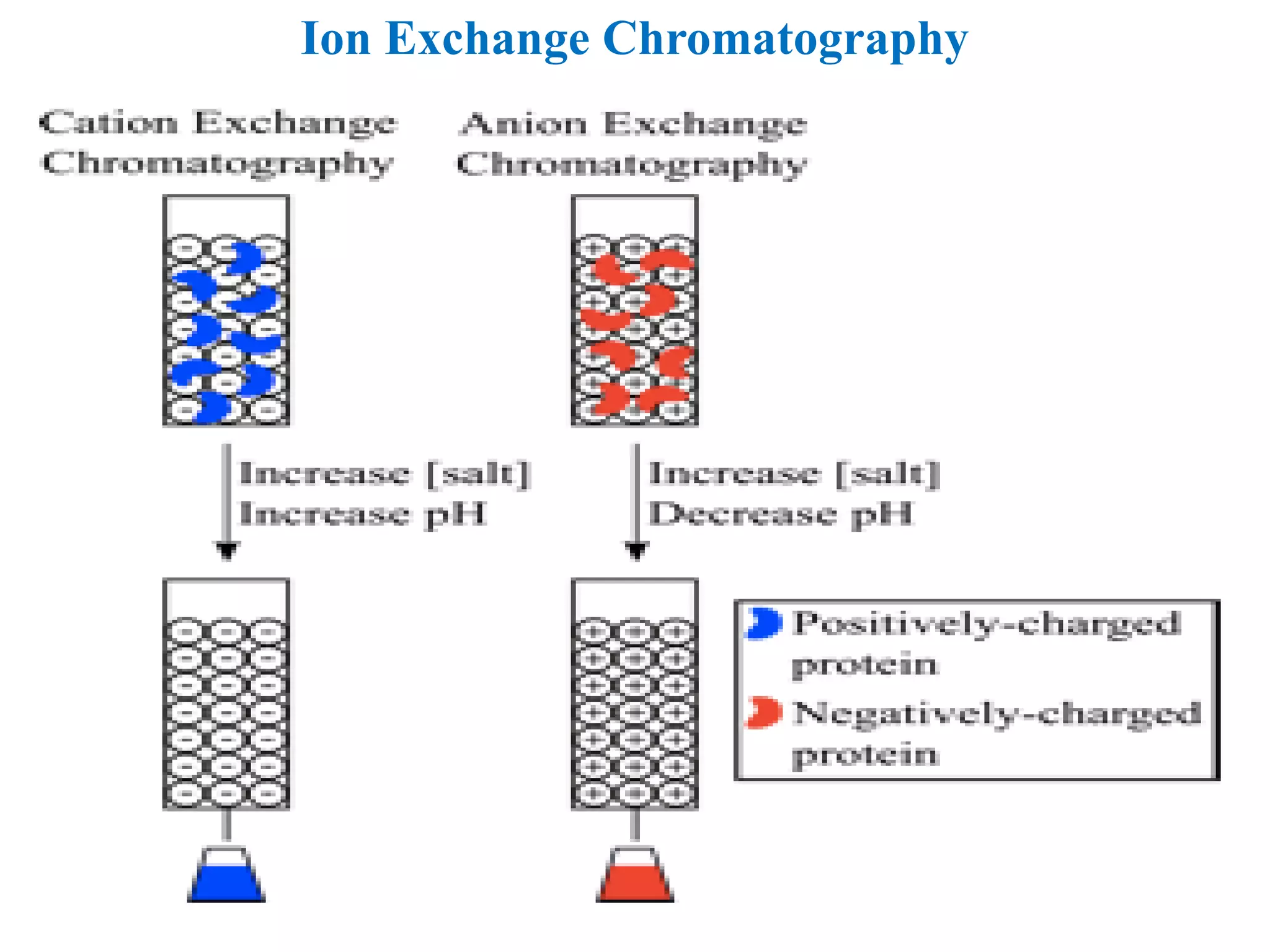 Crude enzyme purification | PDF