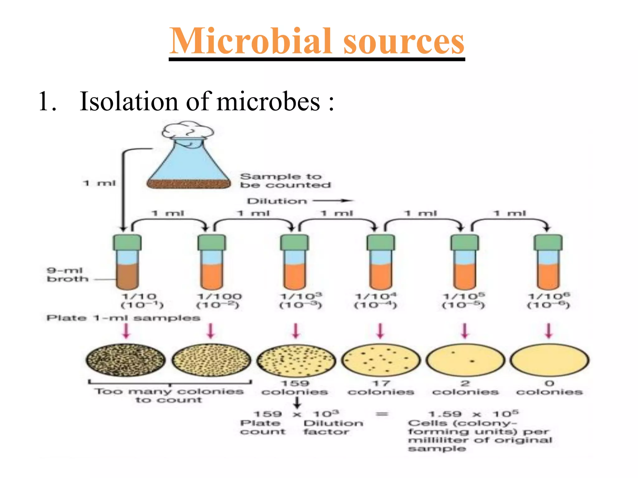 Crude enzyme purification | PDF