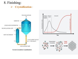 Crude enzyme purification | PDF
