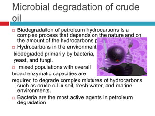 Oil Biodegradation