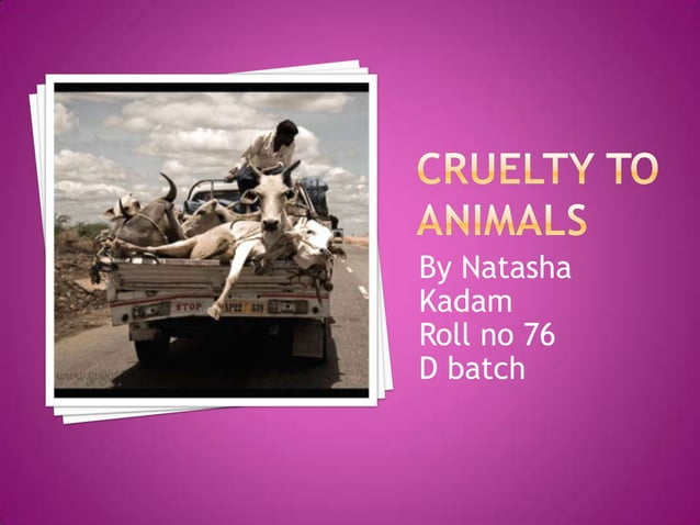Cruelty to animals | PPTX