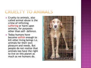 Cruelty to animals | PPTX