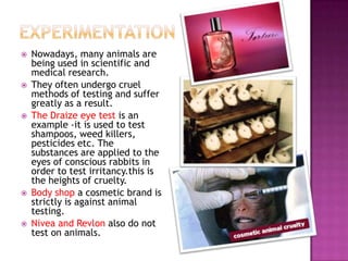 Cruelty to animals | PPTX