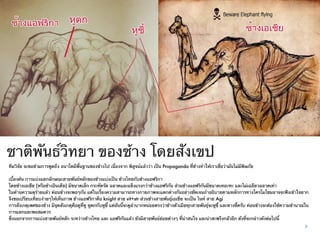 Cruenta elephantus 1 | PDF