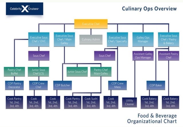 Cruise ship Introduction