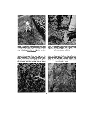 Your soil: crumbly or cloddy? | PDF