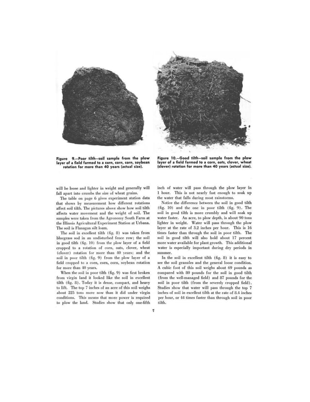 Your soil: crumbly or cloddy? | PDF