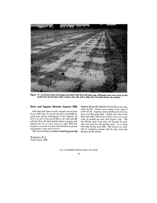 Your soil: crumbly or cloddy? | PDF