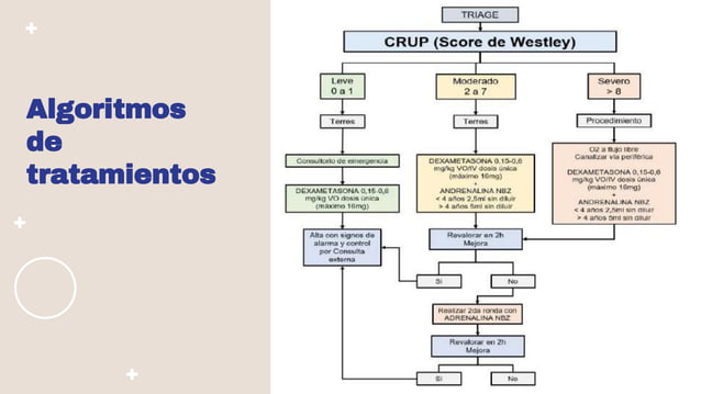 crup laringitis viral o laringotraqueitis | PDF