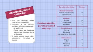 CRUP o laringotraqueitis aguda definición diagnóstico y manejo | PDF