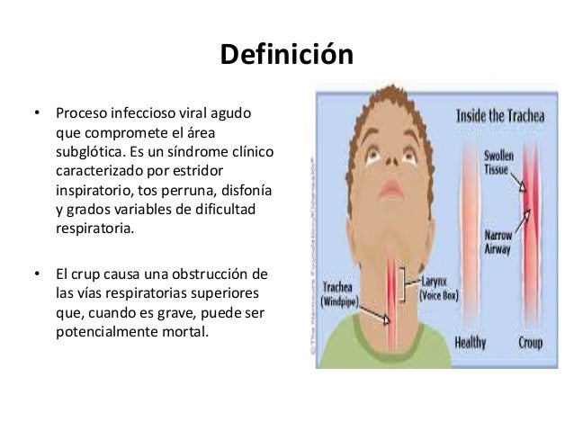 Crup ¿Como Generar E Imprimir Mi CURP? – Vive Playa Del Carmen