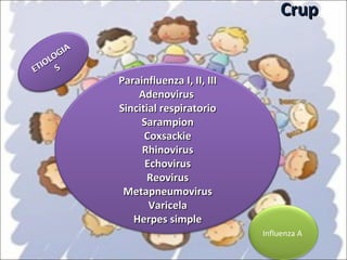 Laringotraqueobronquitis | PPT