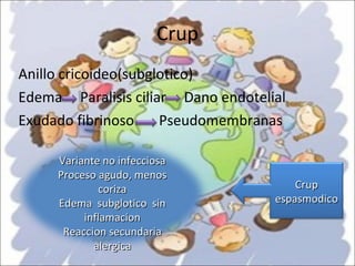 Laringotraqueobronquitis | PPT