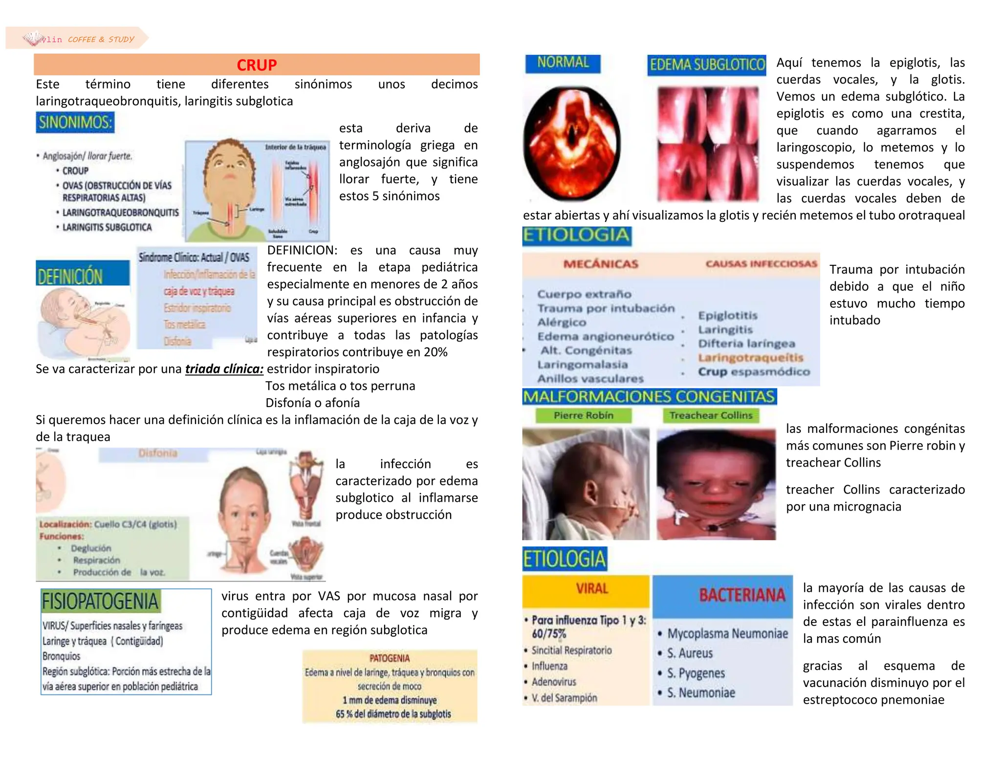 Definición y características del CRUP y bronquiolitis | DOCX