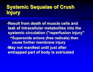 Crush injury-and-crush-syndrome | PPT