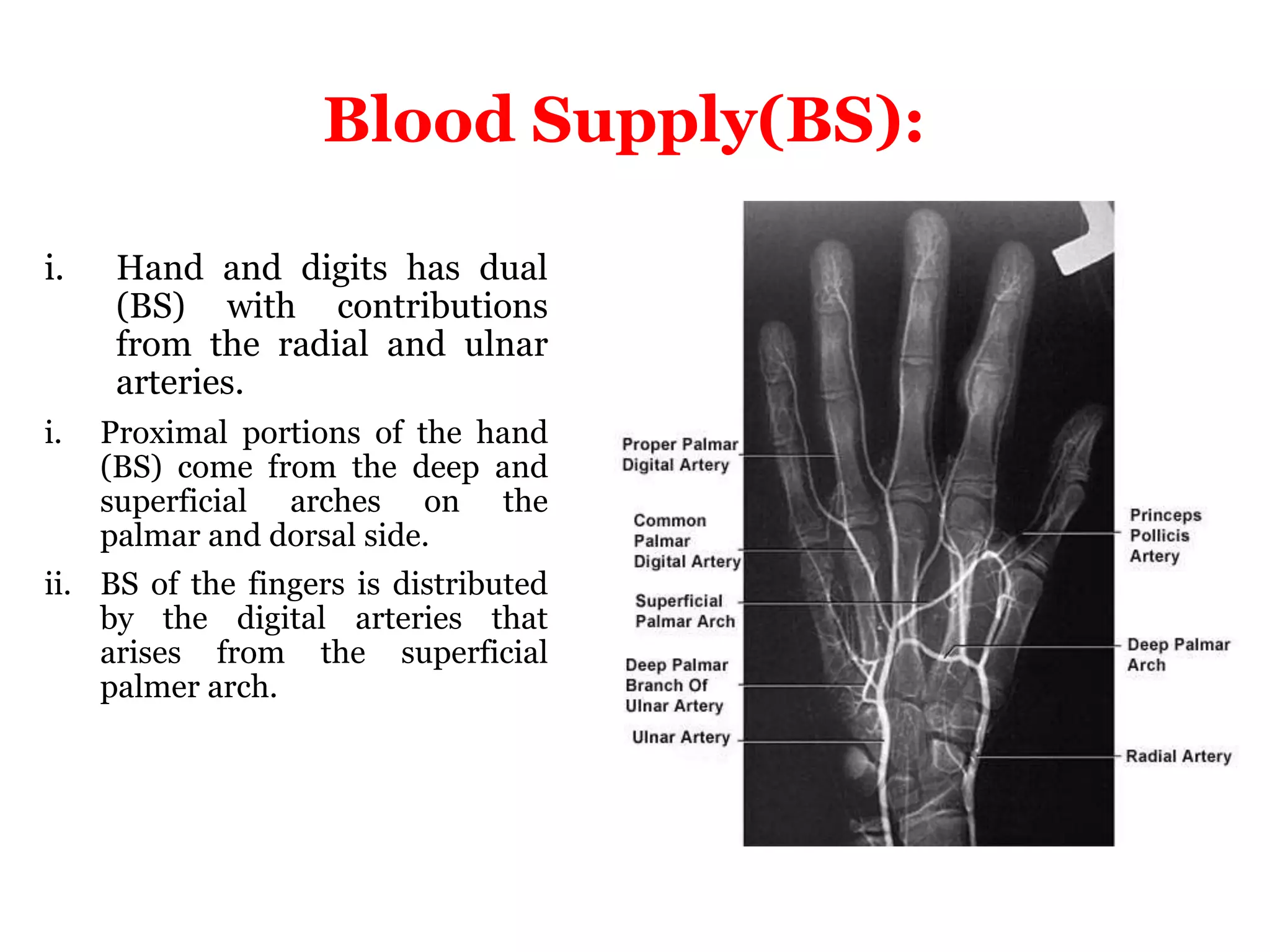 Crush injuries of hand | PPTX
