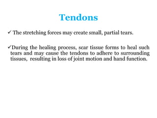 Crush injuries of hand | PPTX