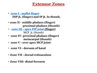 Crush injuries of hand | PPTX