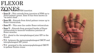 CRUSH INJURIES OF THE HAND.ppt