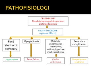 Crush syndroma | PPTX