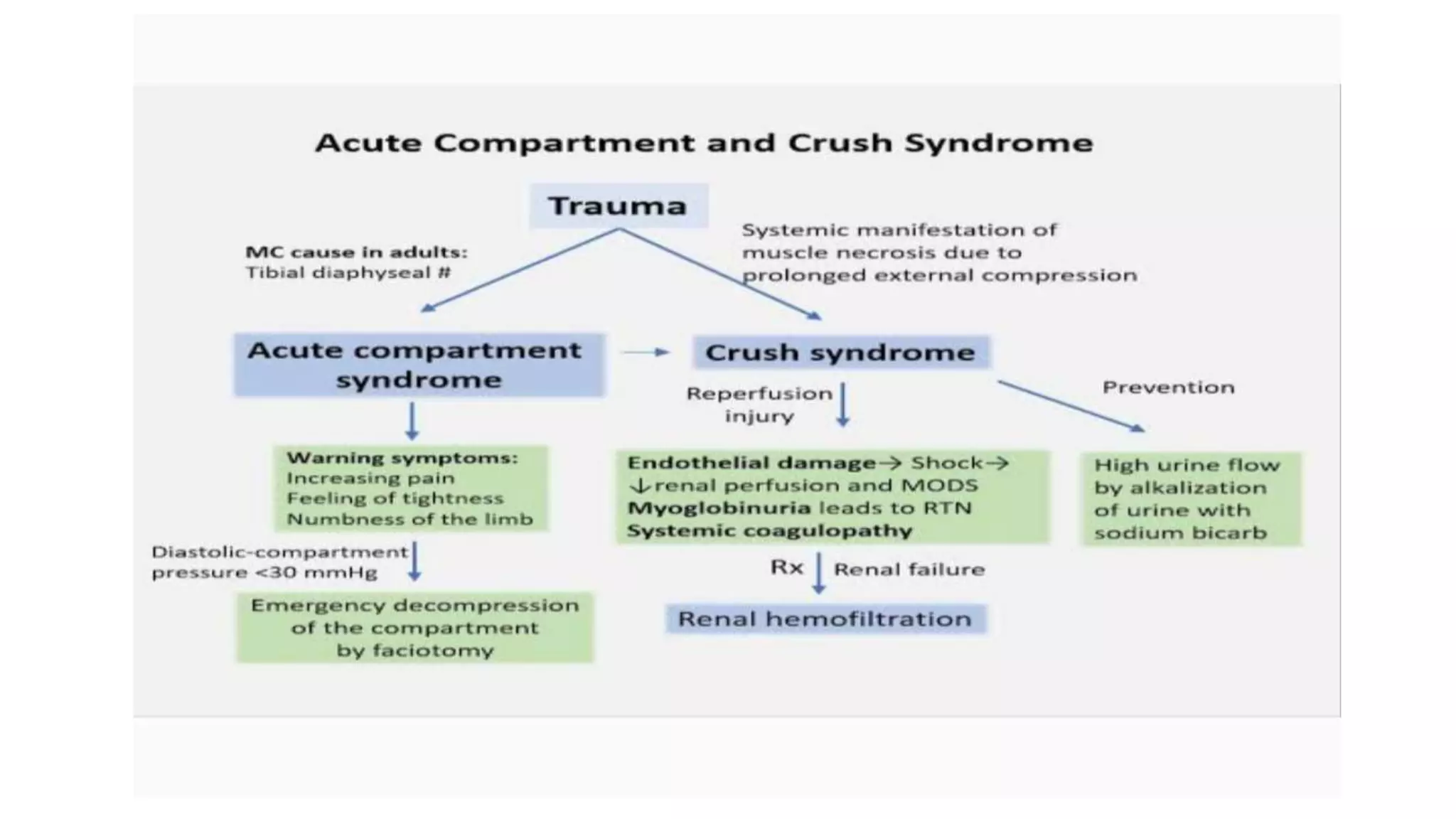 Crush syndrome PPT | PPTX