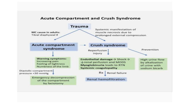 Crush syndrome PPT | PPTX | First Aid | Injuries