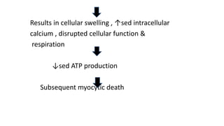 Crush syndrome PPT | PPTX